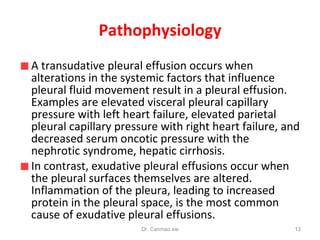 4 pleural effusions | PPT