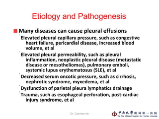 4 pleural effusions | PPT