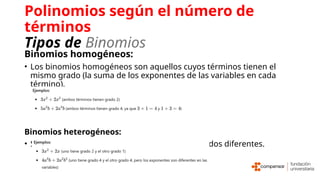 4 POLINOMIOS y TIPOS MATEMATICA FUNDAMENTAL | PPTX