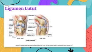 Presentasi Knee Disorders.pptx