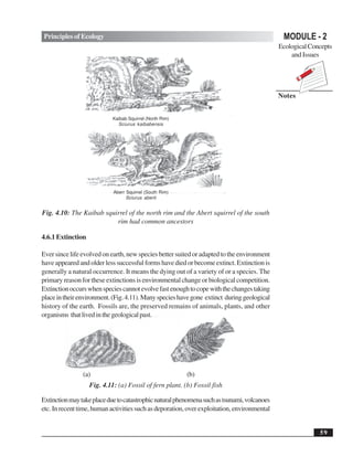 4 principles of ecology | PDF