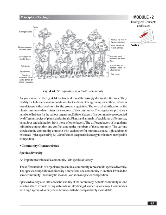 4 principles of ecology | PDF