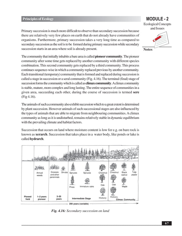 4 principles of ecology | PDF
