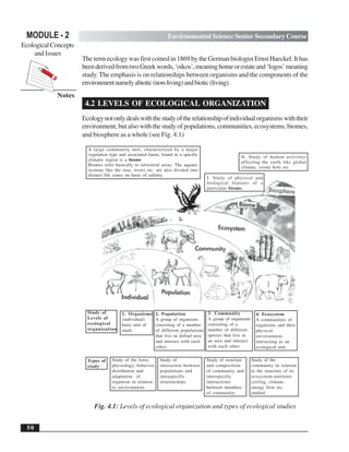 4 principles of ecology | PDF