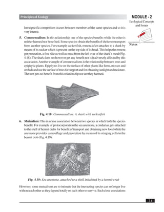 4 principles of ecology | PDF