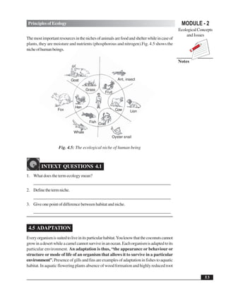 4 principles of ecology | PDF