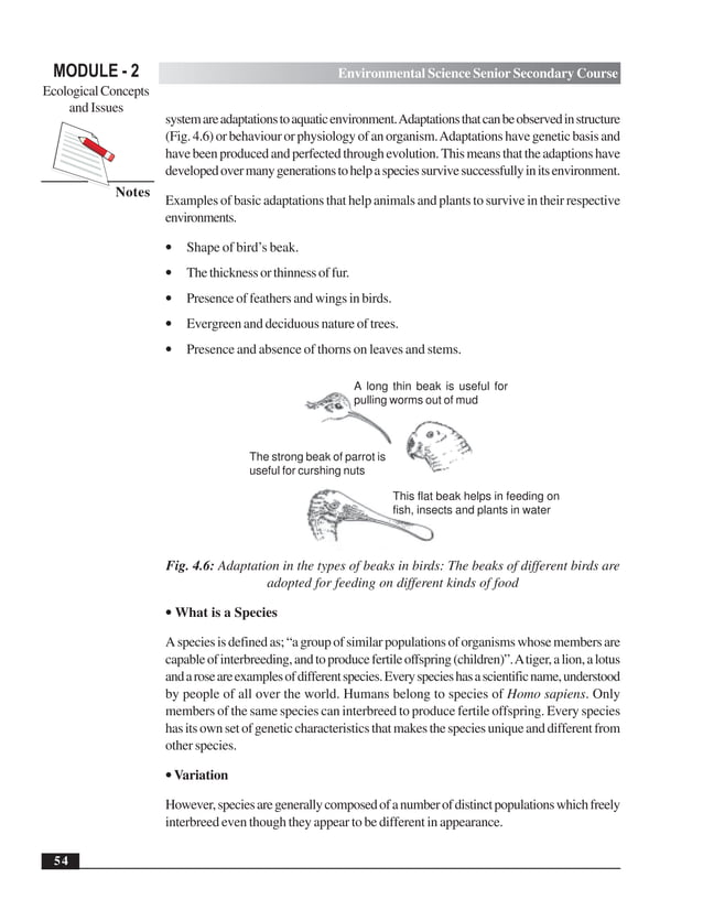 4 principles of ecology | PDF