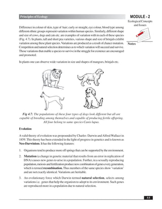 4 principles of ecology | PDF