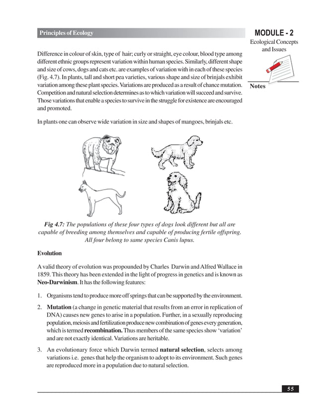 4 principles of ecology