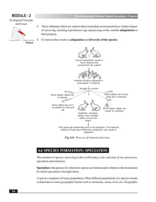 4 principles of ecology | PDF