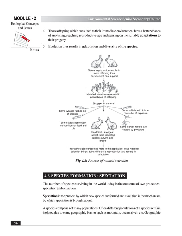 4 principles of ecology | PDF