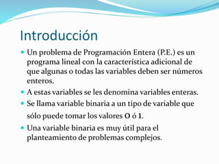 4_Programacion_Entera.pptx