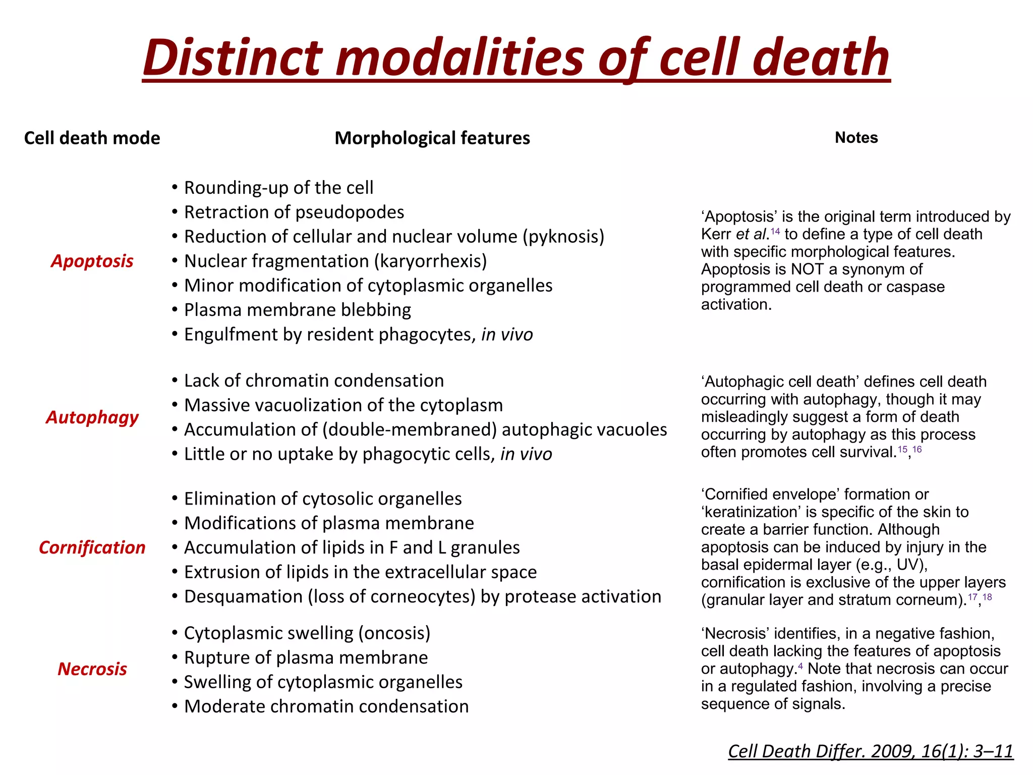 programed cell death | PPT