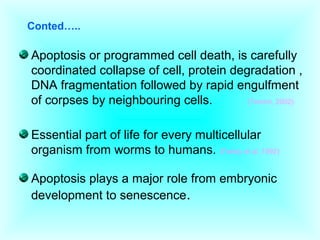 programed cell death | PPT