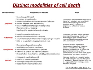 programed cell death | PPT