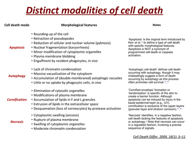 programed cell death | PPT | Biological Sciences | Science