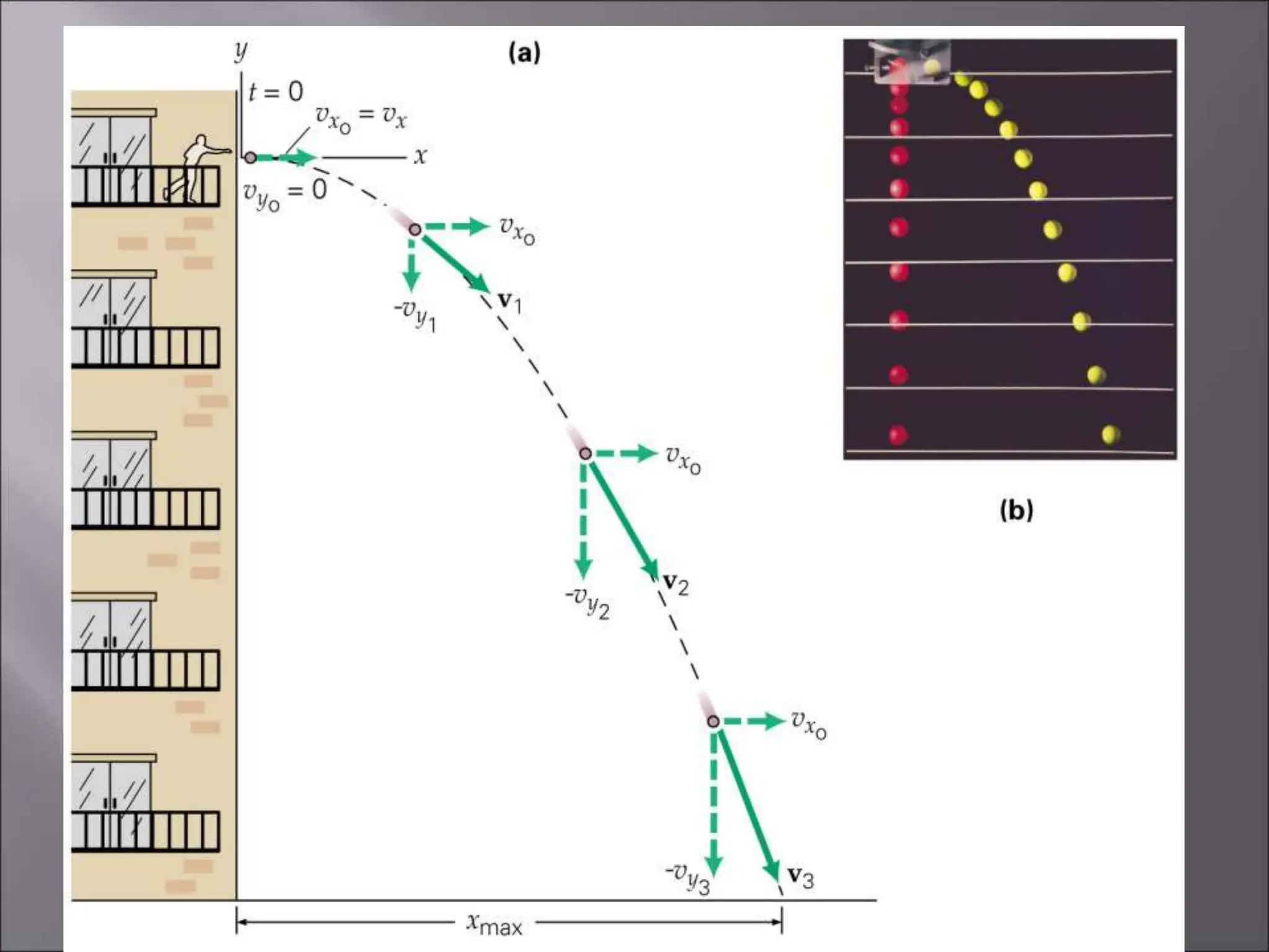 Physics class Introduction to Projectile motion | PPT