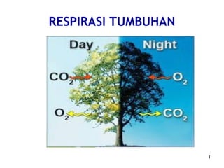 pengertian dan proses terjadinya respirasi | PPT
