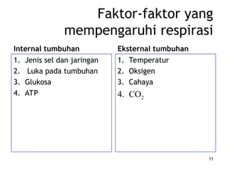 pengertian dan proses terjadinya respirasi | PPT