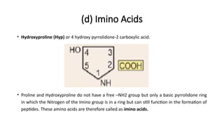 Protein it's composition and it's classification | PPTX