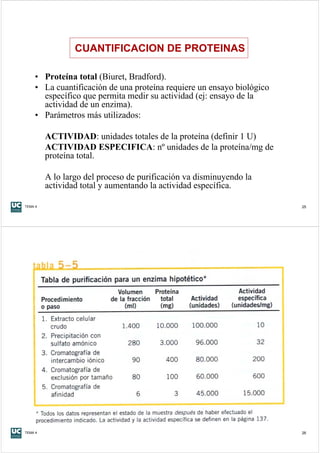 proteínas funciones y estructura primaria | PDF