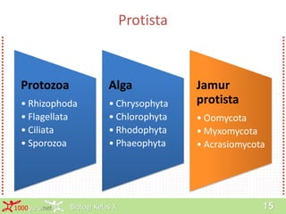 Protista | PPT