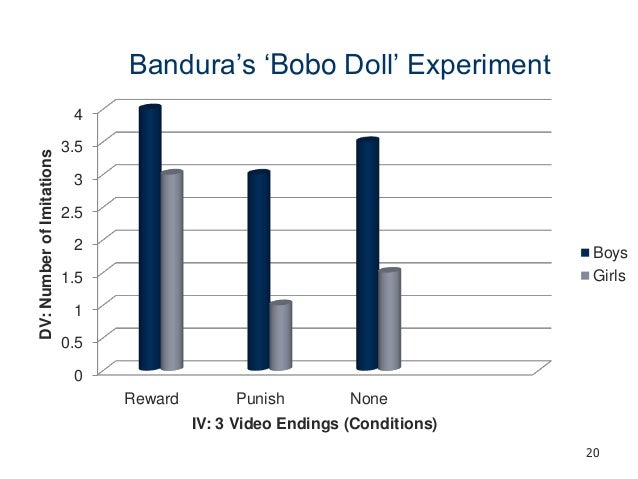 Cognition & Development: Social Development