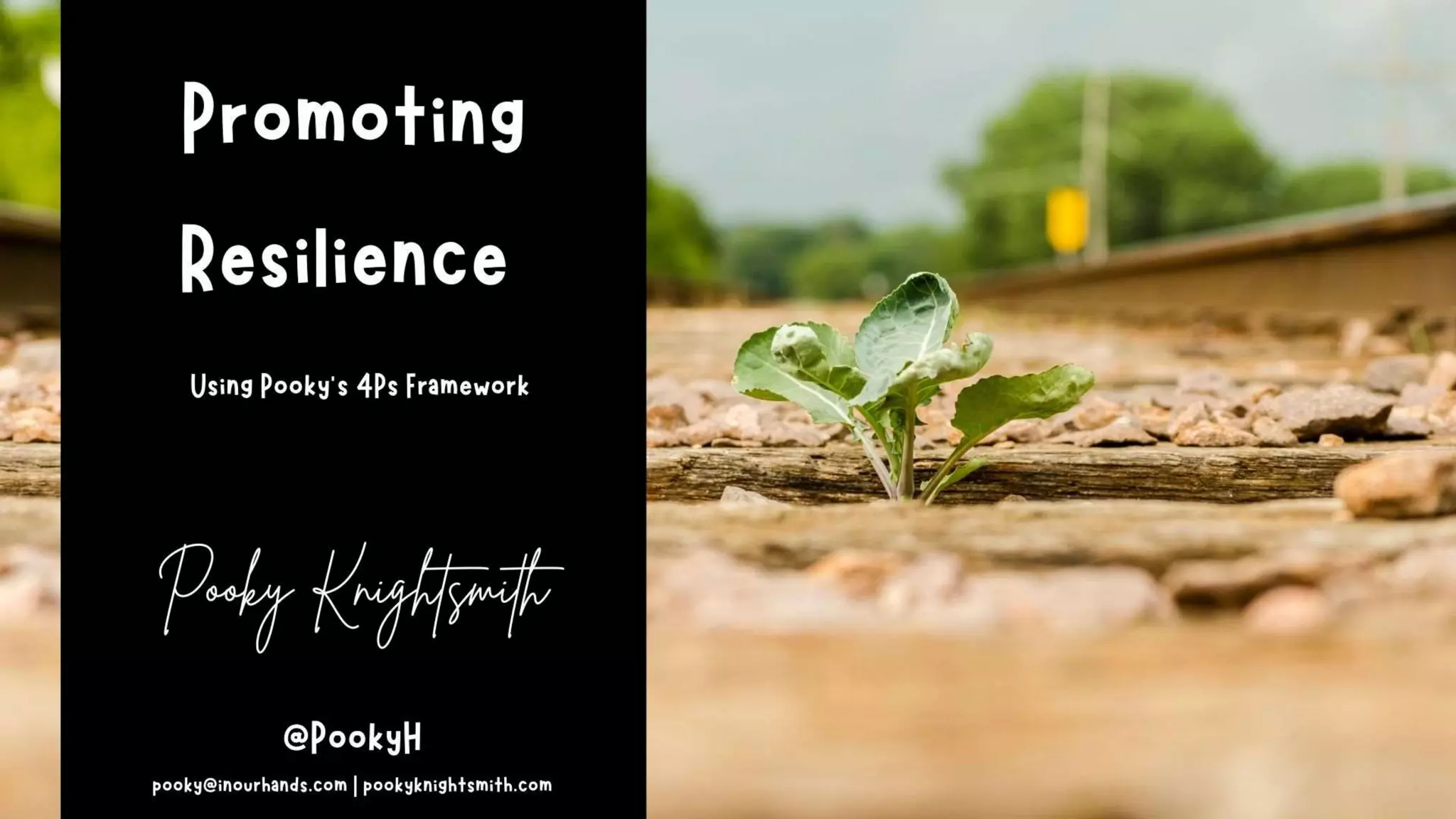 4Ps Resilience Framework | PPTX