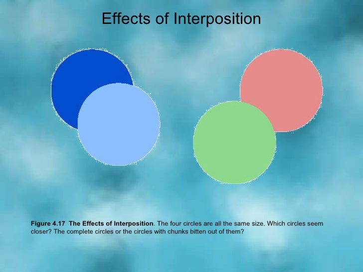 sensation and perception