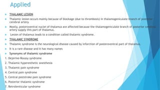 Thalamus | PPT
