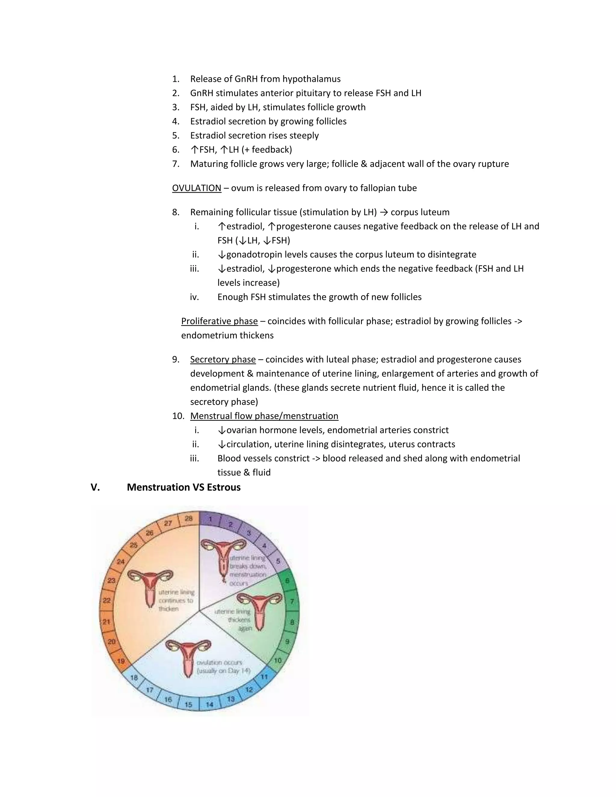 Mammalian Reproduction | DOCX