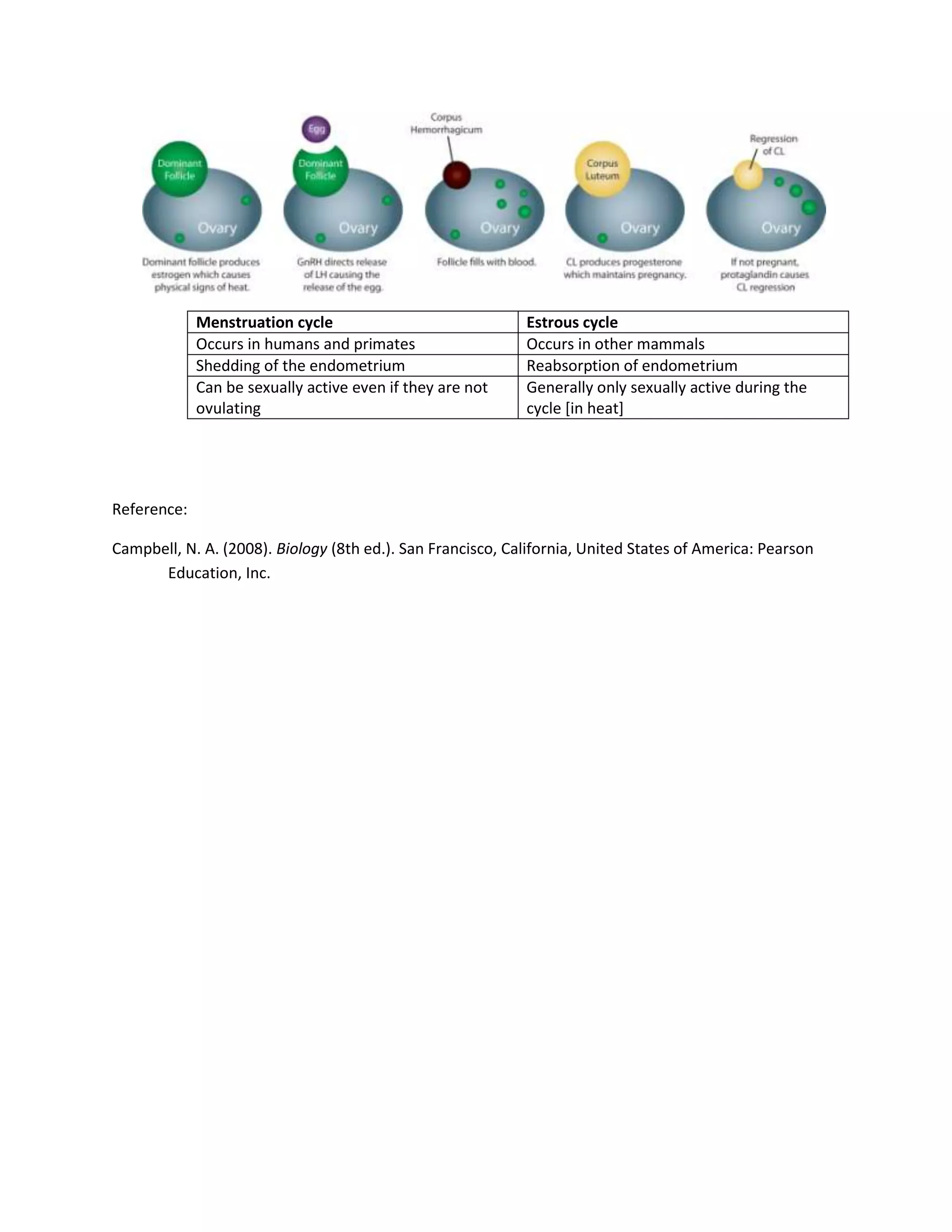 Mammalian Reproduction | DOCX