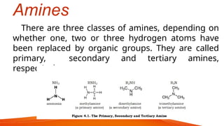 4_Q2 Gen. Chemistry 1 the Amines - .pptx