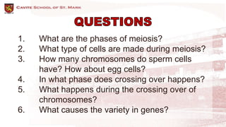 Meiosis | PPTX