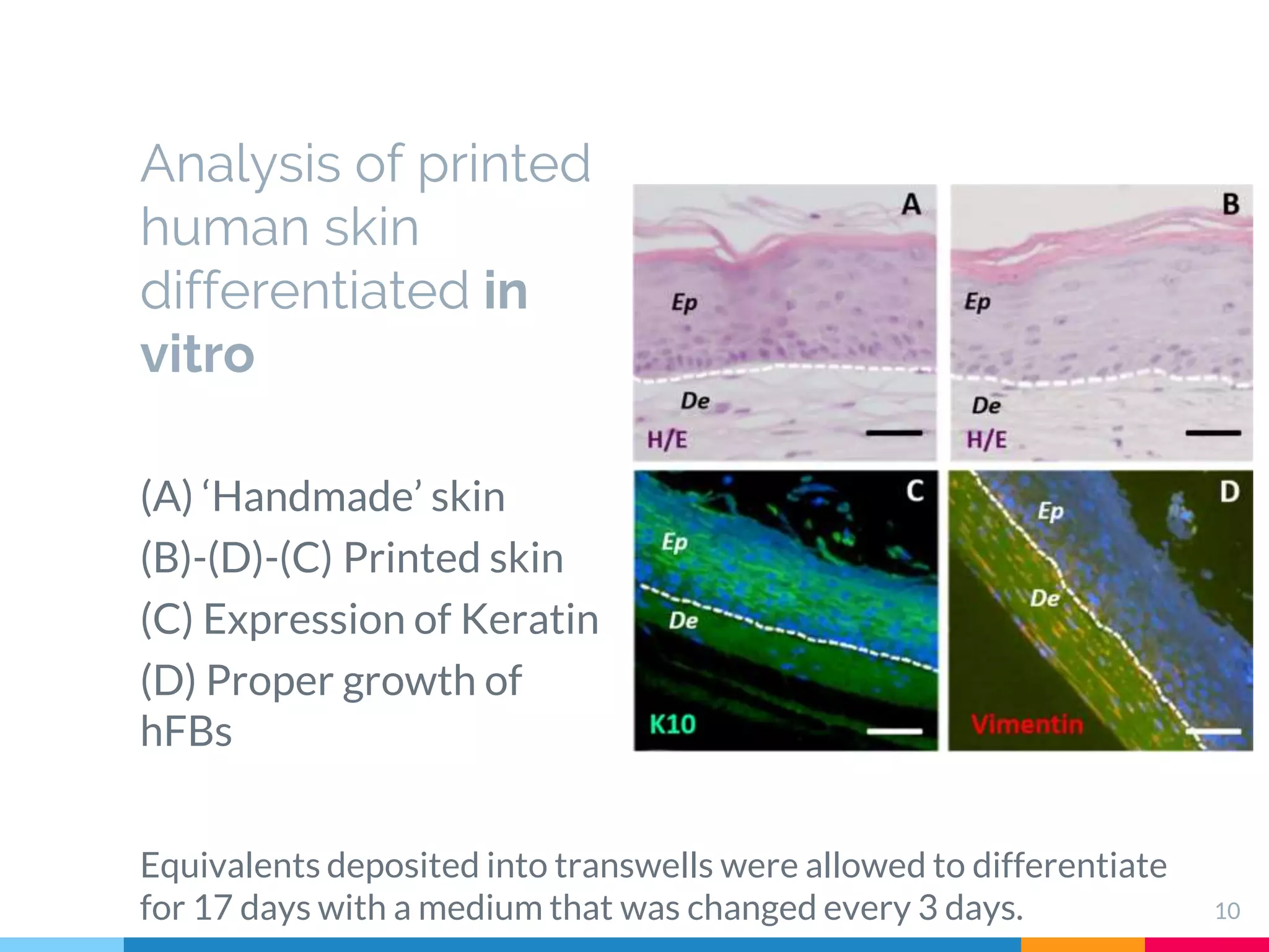 3D Bioprinting of human skin | PPTX