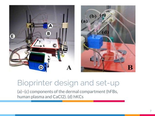3D Bioprinting of human skin | PPTX