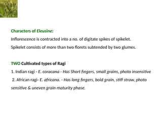 4 Ragi for plant breeding and genetics in plants | PPTX