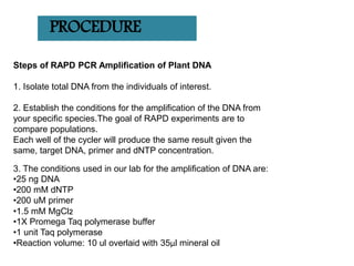 rapd marker, molecular marker by K. K SAHU Sir | PPT