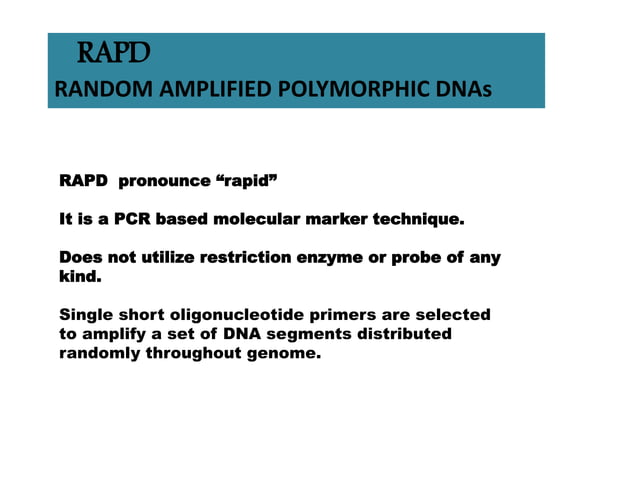rapd marker, molecular marker by K. K SAHU Sir | PPT