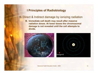 TPRINCIPALES DE LA RADIOBIOLOGIA 4R de la radiobiologia.pdf