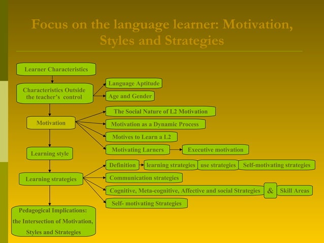 Learning styles and strategies. | PPT | Education