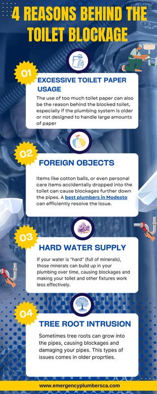 4 Reasons Behind the Toilet Blockage.pdf