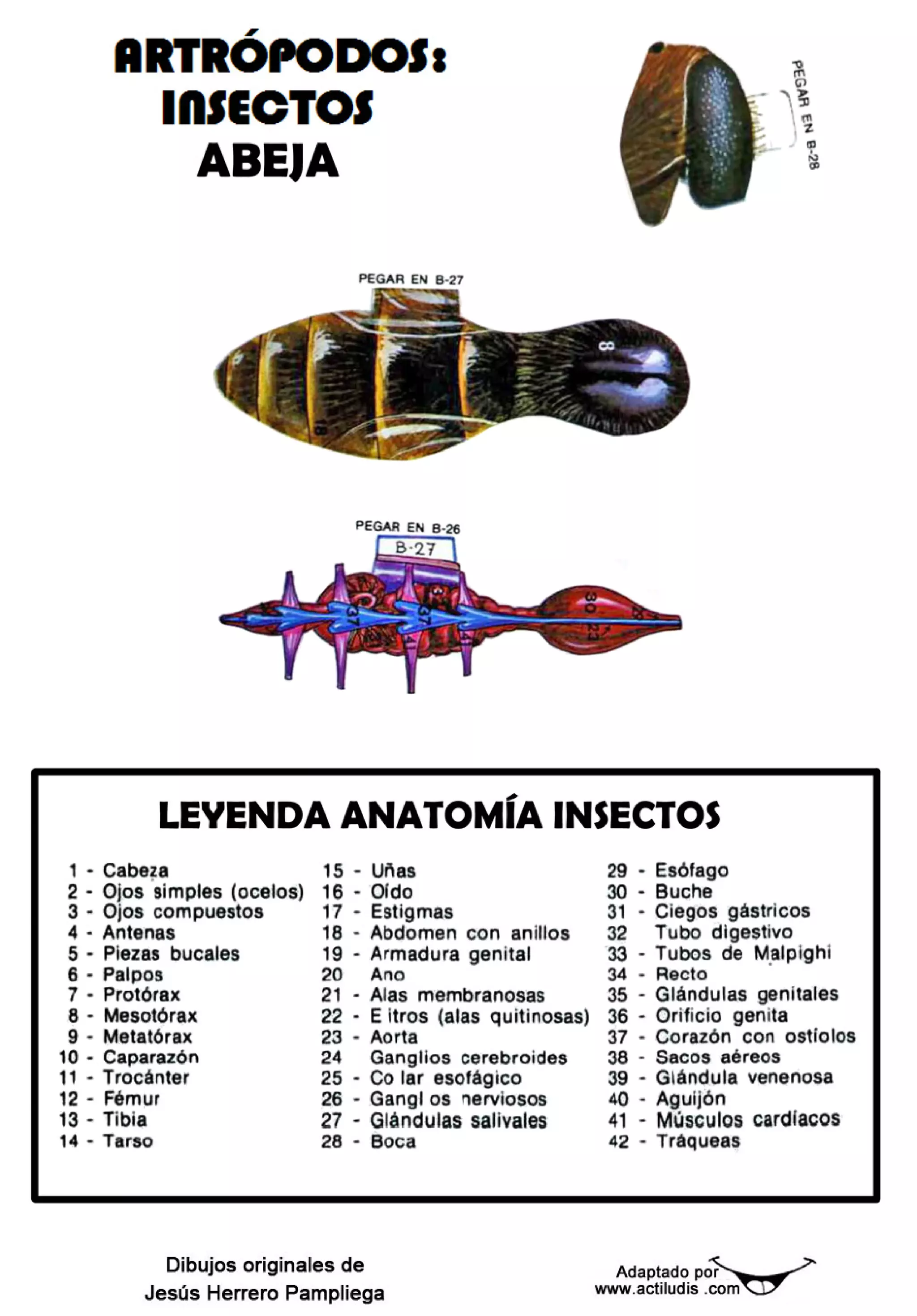 4 recortable abeja | PDF