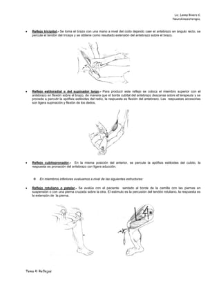 4 reflejos | PDF
