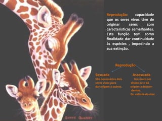 Reprodução nos Animais - 2.º ciclo 5.º ano | PPTX