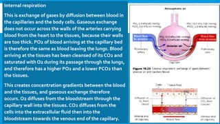 Respiratory system.ppsx | Ear, Nose and Throat Conditions | Diseases ...