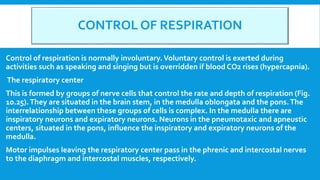 Respiratory system.ppsx | Ear, Nose and Throat Conditions | Diseases ...