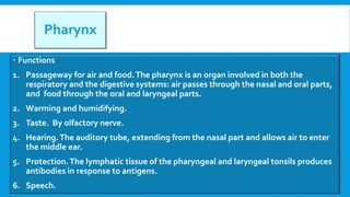 Respiratory system.ppsx | Ear, Nose and Throat Conditions | Diseases ...
