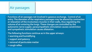 Respiratory system.ppsx | Ear, Nose and Throat Conditions | Diseases ...