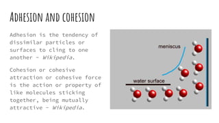 Adhesion Of Water Meniscus